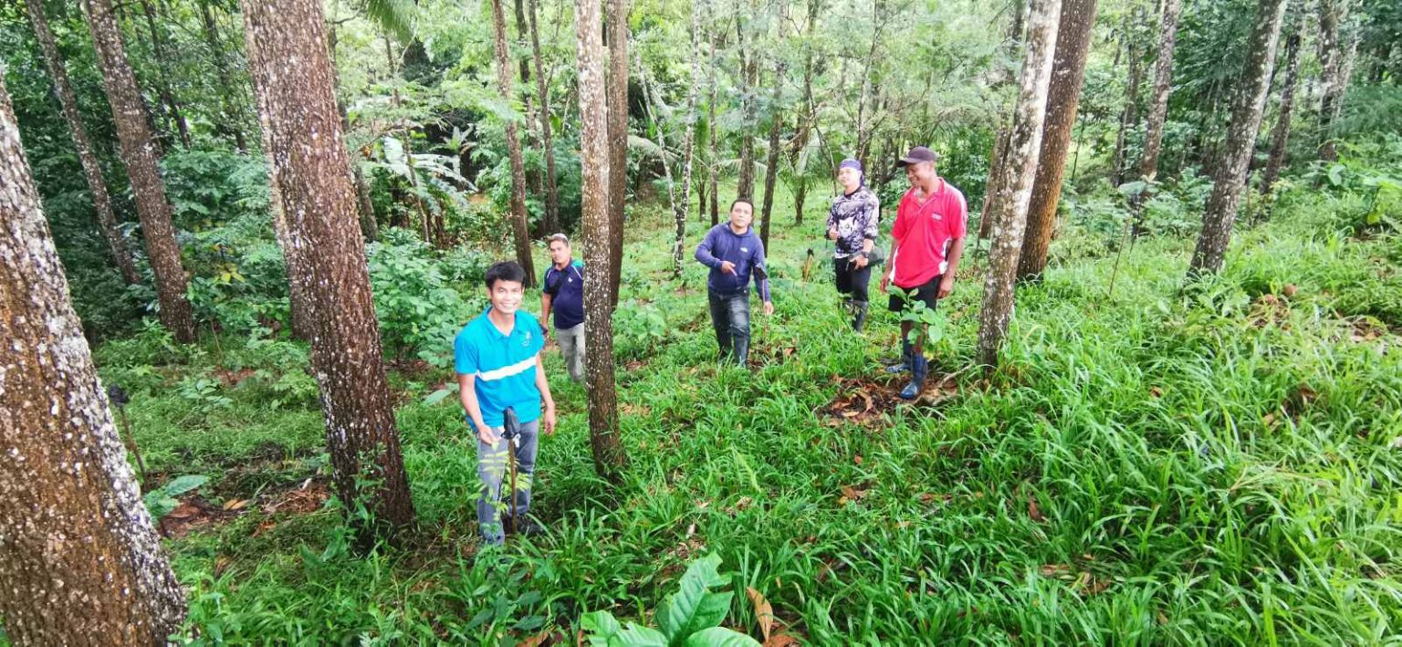 DENR Tree Planting with the Cooperation of ANC - All Natural Coco ...